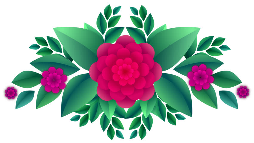 vector animated flower blooms leaves appear Stock Footage Video (100% ...