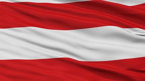 Brno Closeup Flag City Czech Republic Stock Footage Video (100% Royalty ...