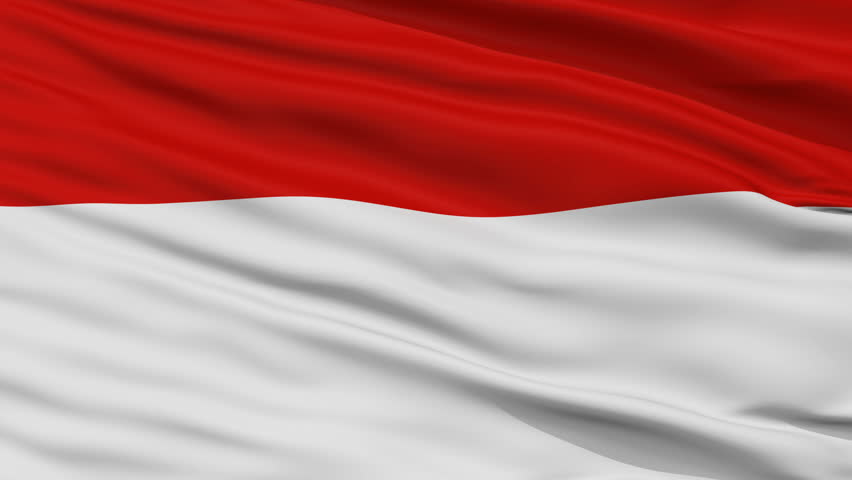 tarija closeup flag city bolivia realistic: video de stock (totalmente ...