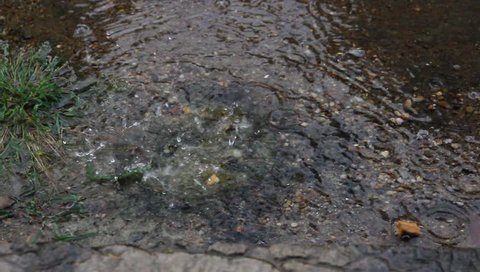 Rain Drops On Ground Stock Footage Video (100% Royalty-free) 1009994285 ...