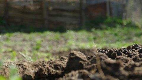 Dig Earth Shovel He Engaged Agriculture Stock Footage Video (100% ...