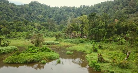 Beautiful Aerial View Situ Gunung Forest Stock Footage Video (100% ...