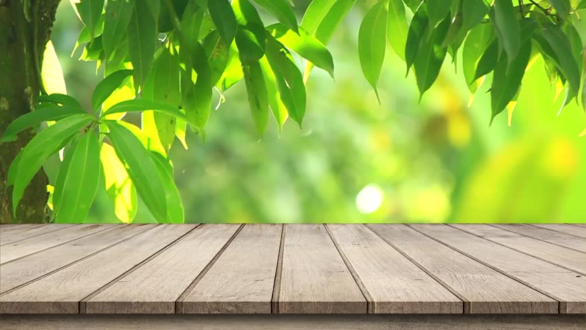 wood table top on green leaves Stock Footage Video (100% Royalty-free ...