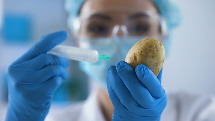 female scientist injecting chemical liquid potato Stock Footage Video ...