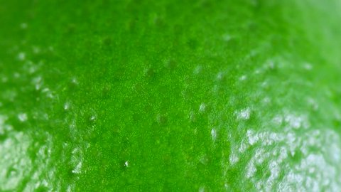 Lime Skin Texture Background Stock Illustration 258376019 | Shutterstock