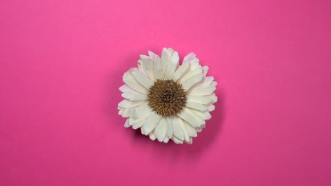 Letter L Made Flowers Part Word Stock Photo 1023278056 | Shutterstock