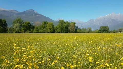 Boulder Colorado Iconic Flatirons Foreground Sweet Stock Photo (Edit ...