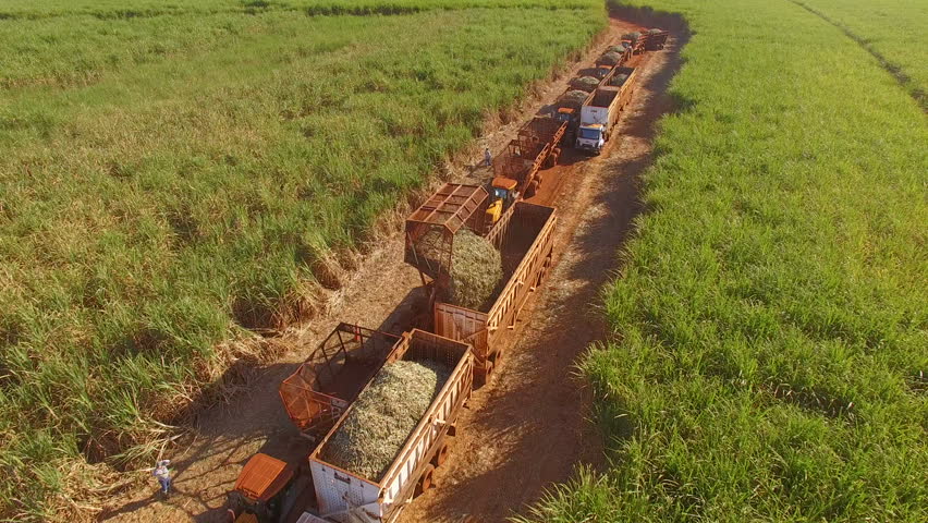 Sugar Cane Load Stock Video Footage - 4K and HD Video Clips | Shutterstock