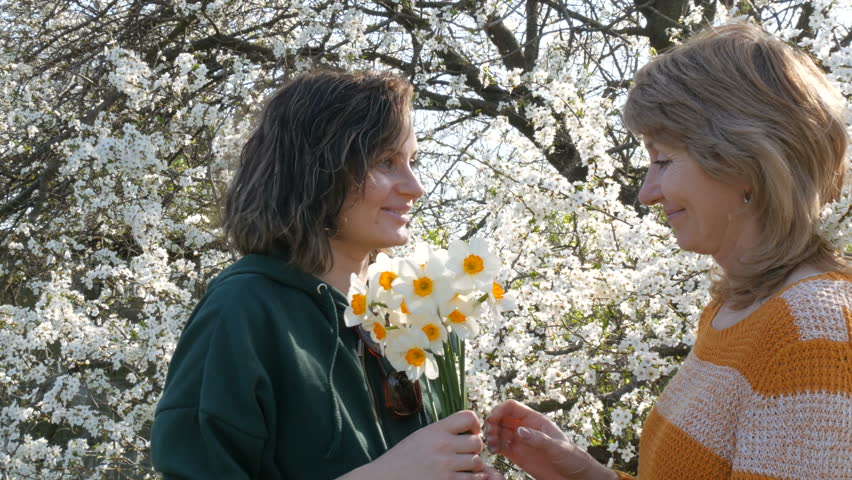 Portrait of an Adult Middle-aged Stock Footage Video (100% Royalty-free ...