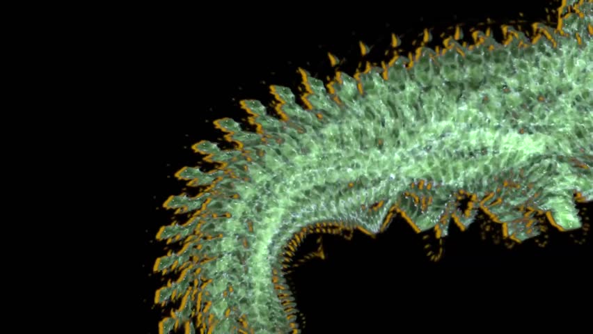 Fractals Snake Shape Scale Arkivvideomateriale (100 % royaltyfritt ...