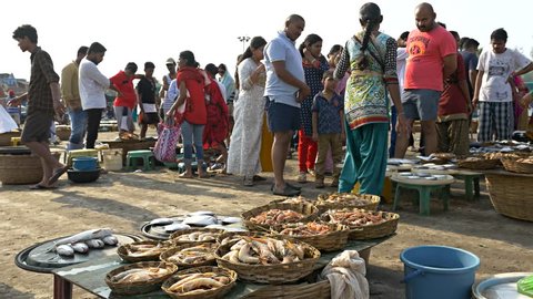 Fish Auction Market Harnai Port Harnai Stock Footage Video (100% ...