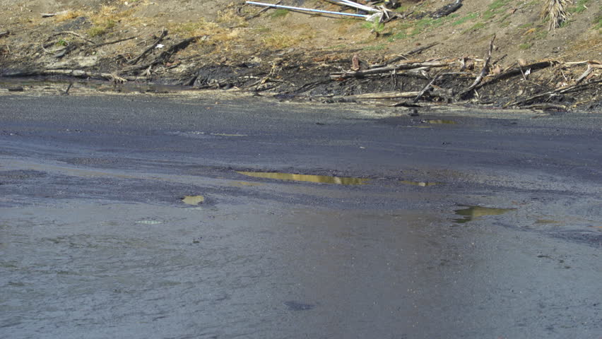 La Brea Tar Pits Bubbling. Stock Footage Video (100% Royalty-free ...