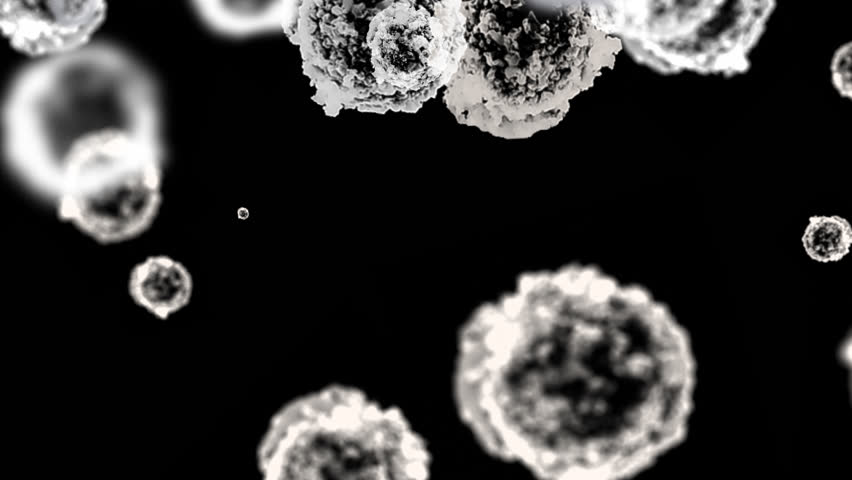Pollen microscope Stock Video Footage - 4K and HD Video Clips ...