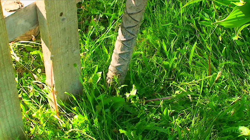 Digging Hole Ground Metal Rod Digging Stock Footage Video (100% Royalty ...