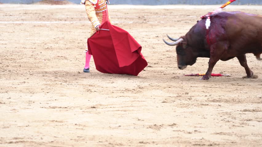 Man Bullfighter Dressed in Bullfighting Stock Footage Video (100% ...