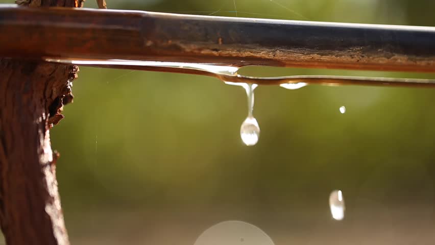 Integral dripper Stock Video Footage - 4K and HD Video Clips | Shutterstock