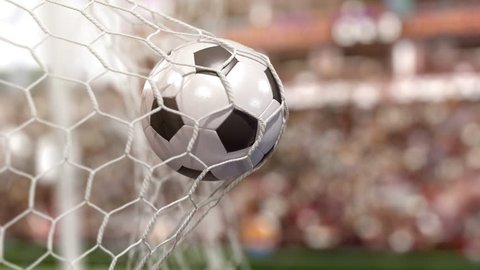 Soccer Ball Goal Stock Photo (Edit Now) 573409429