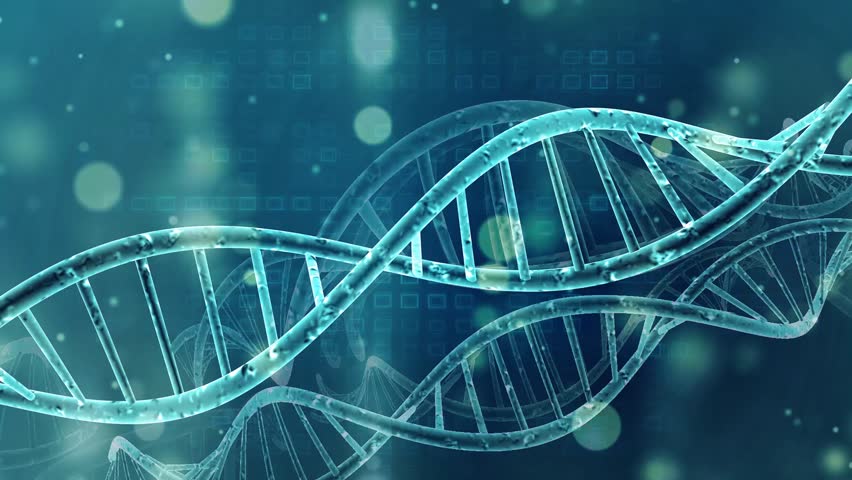 Dna Double Helix 3d Animation Dna Stock Footage Video (100% Royalty ...
