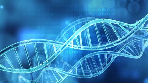 Dna Double Helix 3d Animation Dna Stock Footage Video (100% Royalty ...
