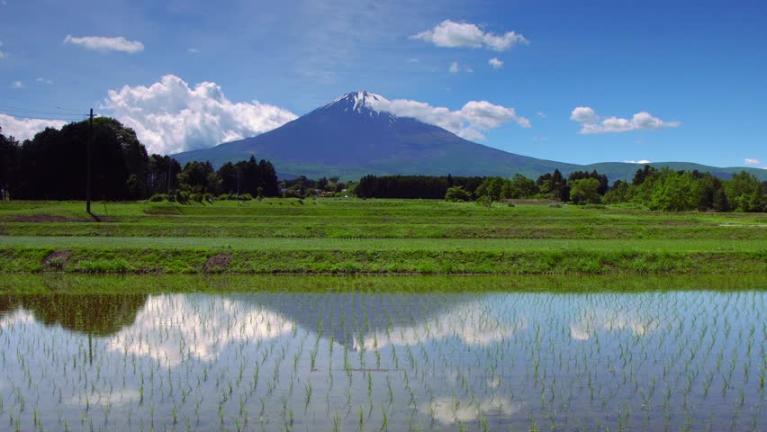 mt fuji rice terrace gotemba city Stock Footage Video (100% Royalty ...