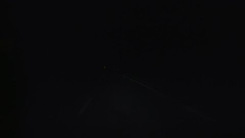 White Leghorn Chickens Ducks Geese Turkeys Stock Footage Video (100% ...