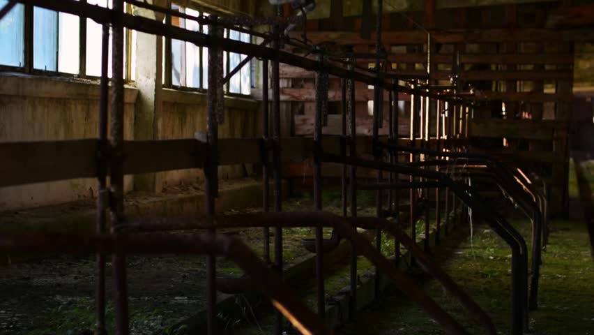 prison cage prisoner chained chains loop Stock Footage Video (100% ...