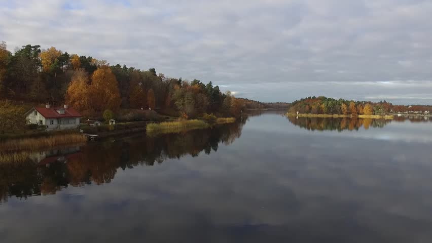 Red trees, lights, and reflection in garden image - Free stock photo ...
