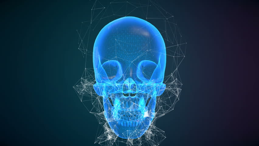 3d Render of Human Skull Stock Footage Video (100% Royalty-free ...