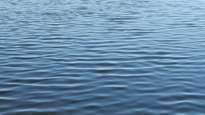 water ripples closeup Stock Footage Video (100% Royalty-free) 830890 ...