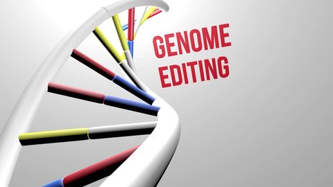 Dna Genome Editing Concept Animation Stock Footage Video (100% Royalty ...