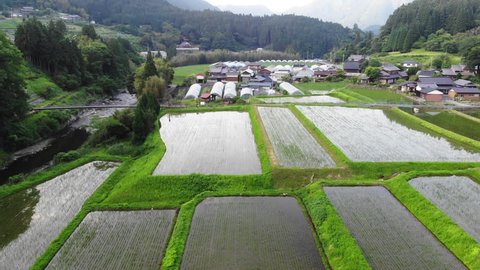 Rising Over Small Japanese Farming Village Stock Footage Video (100% ...