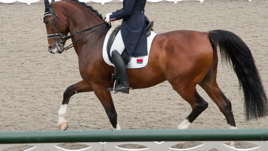 Demonstration of Riding Skills. a Stock Footage Video (100% Royalty ...