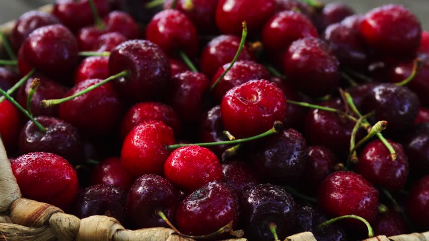 Cherries. Cherry. Cherries in Color Stock Footage Video (100% Royalty ...
