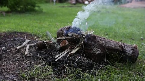 Cinemagraph Seamless Loop Dry Fire Wood Stock Footage Video (100% ...