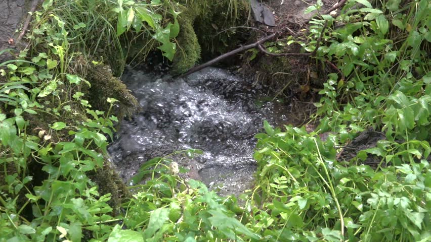 Bubbling Spring Water Among Nature Stock Footage Video (100% Royalty ...