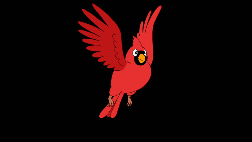 Animated Red Bird 2 Full Stock Footage Video (100% Royalty-free ...