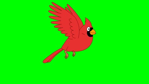 Animated Red Bird 1 Looped Animation Stock Footage Video (100% Royalty ...
