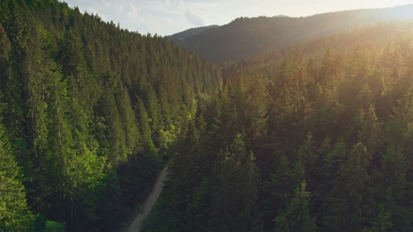 Tree Trunk 4 K Texture Stock Video Footage - 4K and HD Video Clips ...