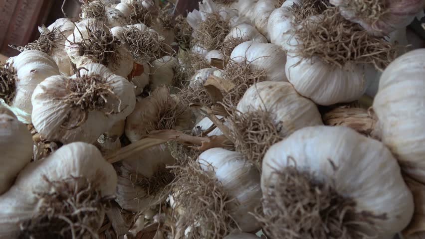 Big Bulb Fruit image - Free stock photo - Public Domain photo - CC0 Images