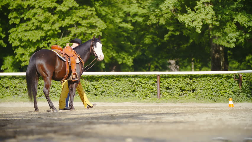 cowboy lead horse riding arena slow Stock Footage Video (100% Royalty ...