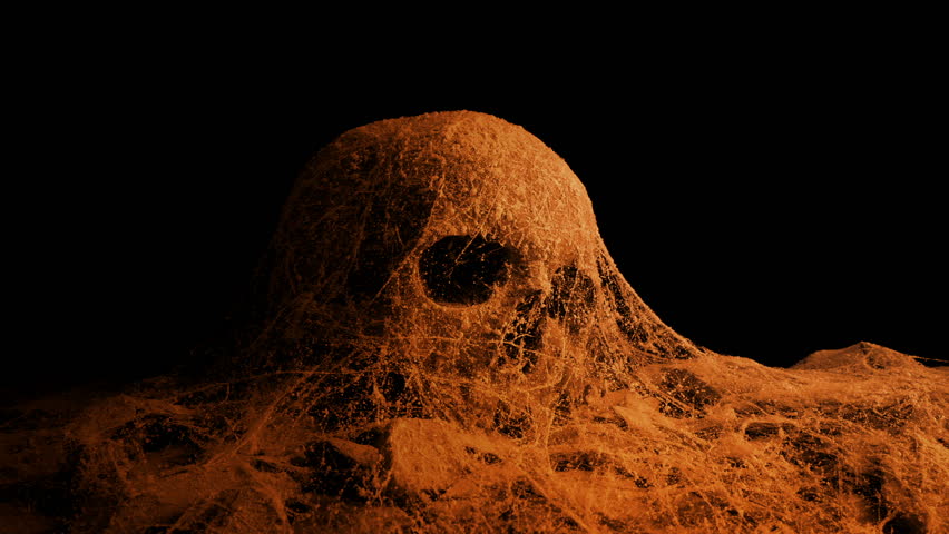Passing Old Skull Under Cobwebs Stock Footage Video (100% Royalty-free ...