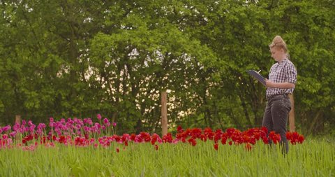 Female Researcher Walking While Examining Tulips Stock Footage Video ...