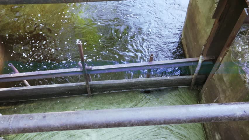 foam channel industrial effluent discharge Stock Footage Video (100% ...