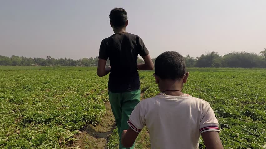 Indian boy back view Stock Video Footage - 4K and HD Video Clips ...