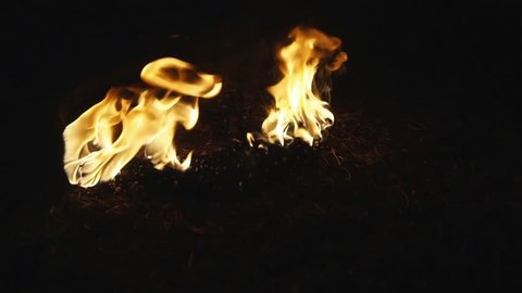 Small Fire Template Black Background Stock Footage Video (100% Royalty ...
