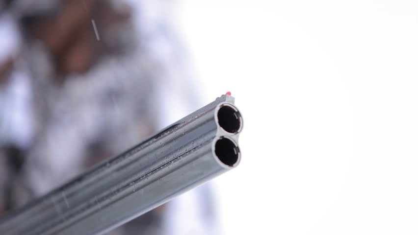 A Close-up of a Double-barrel Stock Footage Video (100% Royalty-free ...