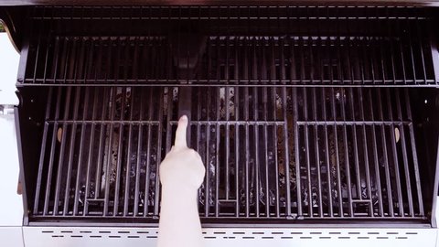 Schematic Diagram Bartons Pendulums Experiment Stock Vector (Royalty ...