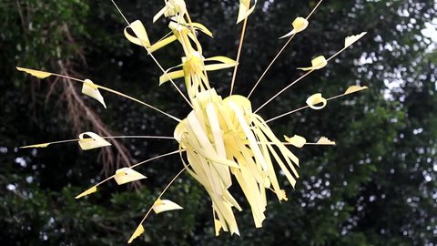 Janur Kuning Symbol Party Indonesia Stock Footage Video (100% Royalty ...