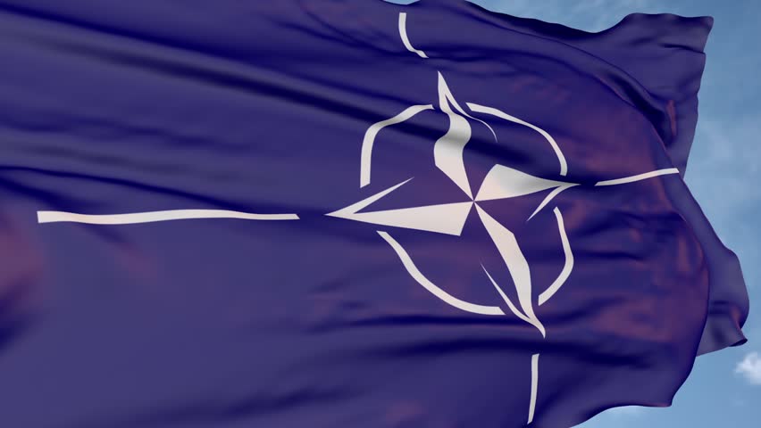 Nato Logo Stock Video Footage - 4K and HD Video Clips | Shutterstock