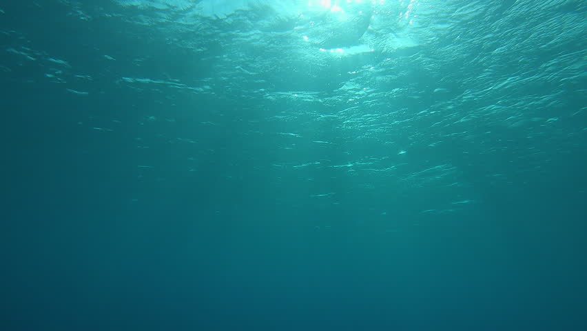 Slow Motion Underwater Pov Swimming Stock Footage Video 100
